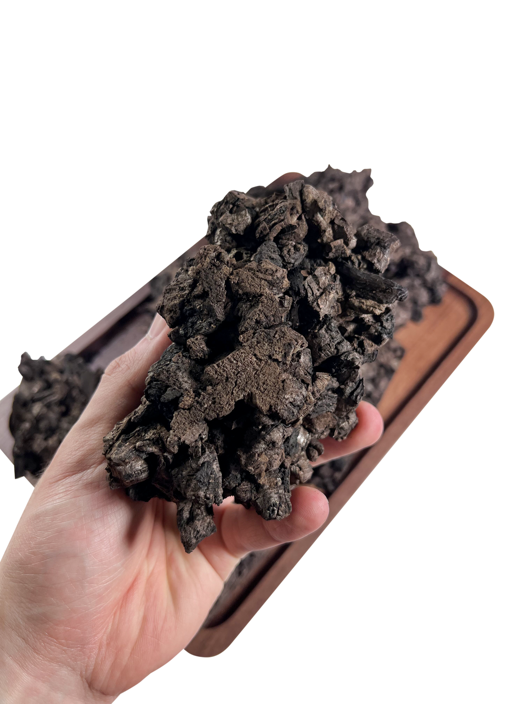 Carbonized Charcoal Cork Chunk – Geckopia