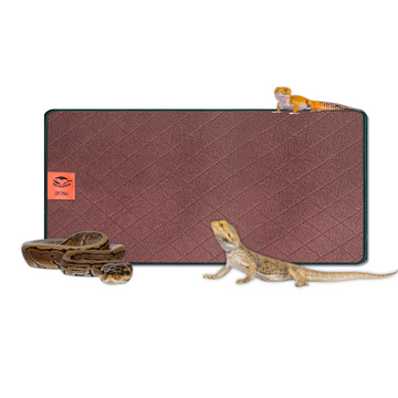 THINGS YOU MUST KNOW BEFORE YOU USE REPTILE LINER – Geckopia