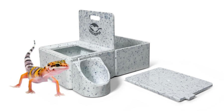 Geckopia Triple Dish