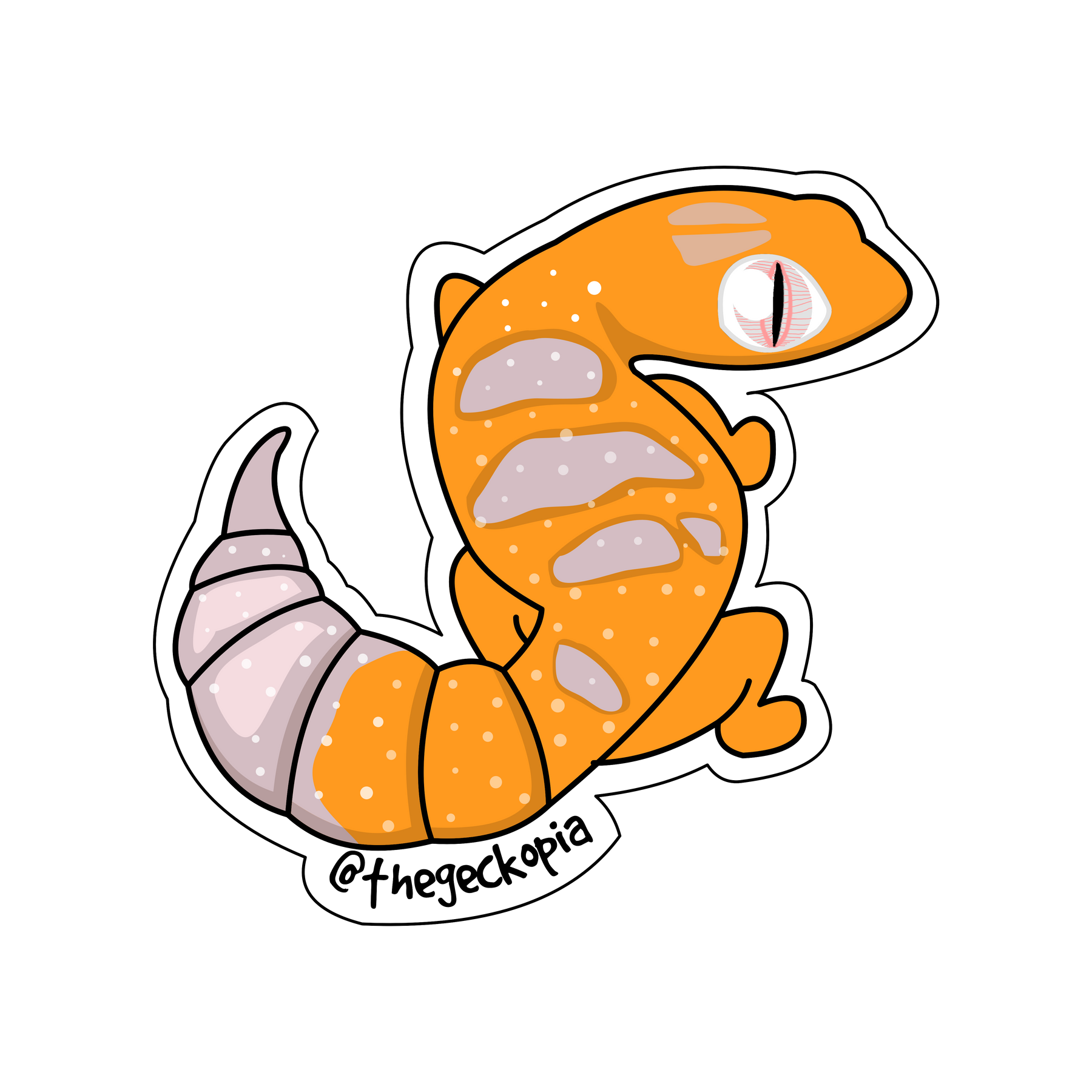 LEOPARD GECKO MORPH STICKER/ DECALS – Geckopia